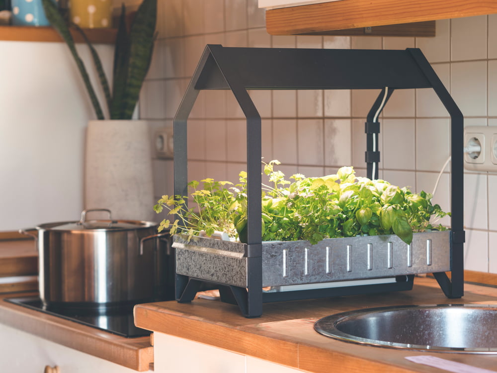 Innovative Hydroponic Systems for Small Spaces - GG Hydro & Nursery ...